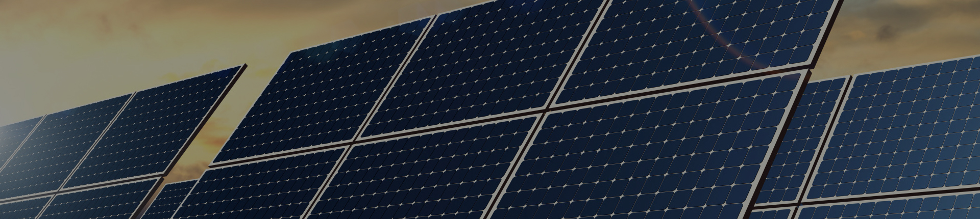 Dubai Shams Programme